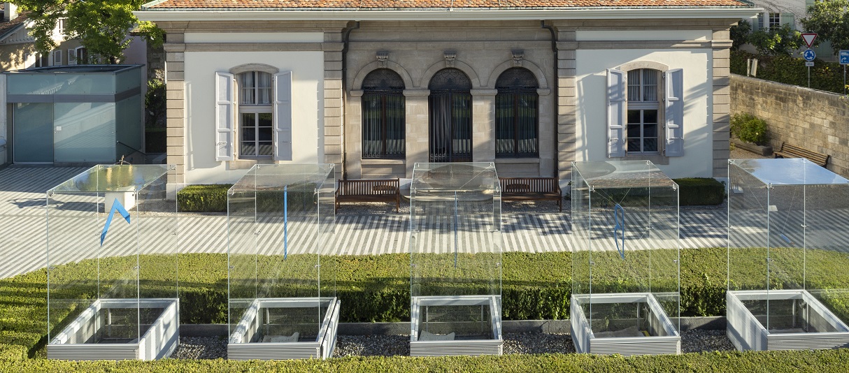 Board of Foundation | Fondation Martin Bodmer